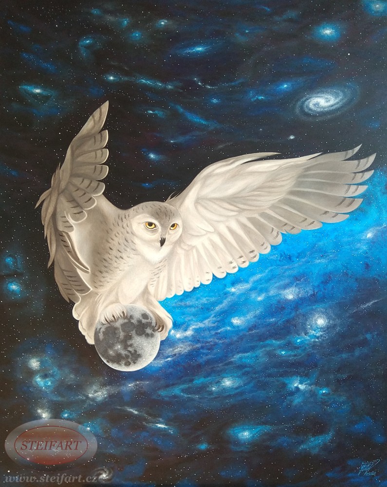 Vítejte ve světě tvoření, výtvarná díla Stanislava Šteifa ml.